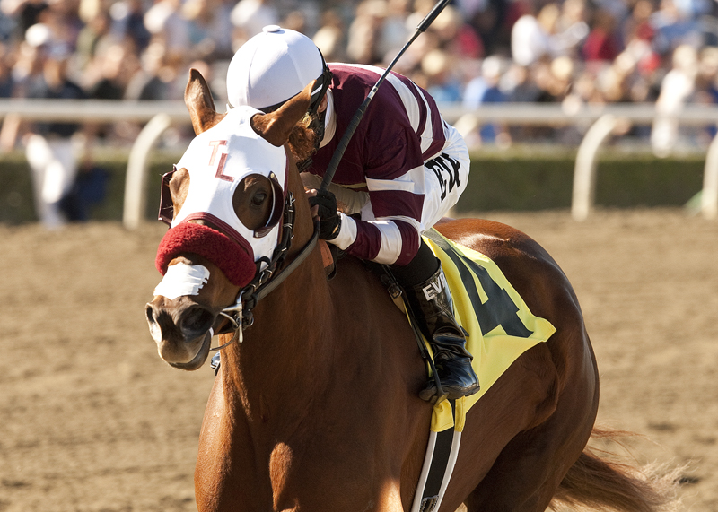 Willa B Awesome in Santa Ysabel - Handicappers' Edge