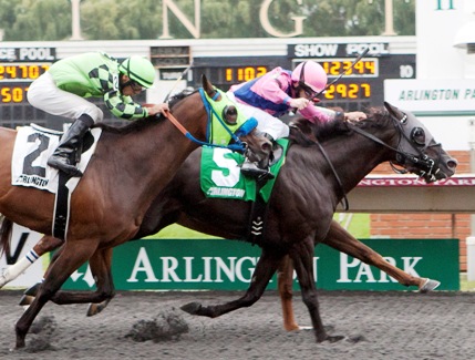 Willcox Inn wills self to victory in Washington Park - Brisnet