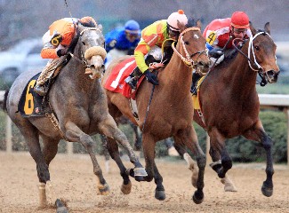 Win Willy gets up in time in Fifth Season - Brisnet
