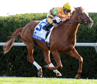 Wise Dan flaunts his superiority in Shadwell Turf Mile - Brisnet