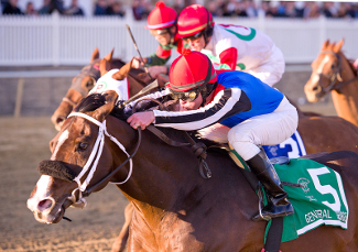Yawanna Twist leads Dutrow exacta in General George | BRISnet.com ...